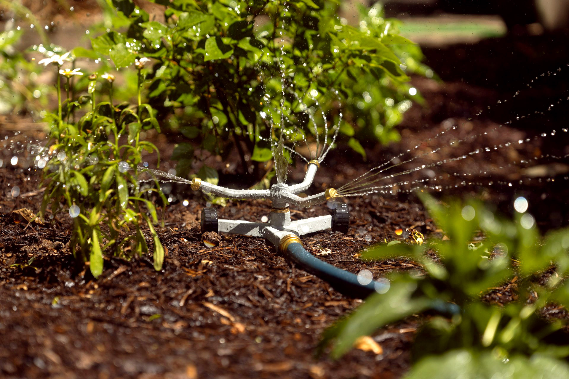Southern California Water Conservation Regulations Every Property Owner ...