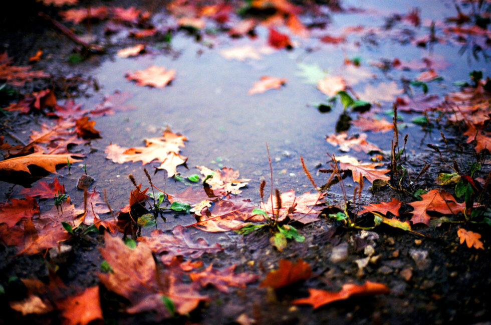 What the First Rain Means for Your Plumbing - SoCal Plumbers