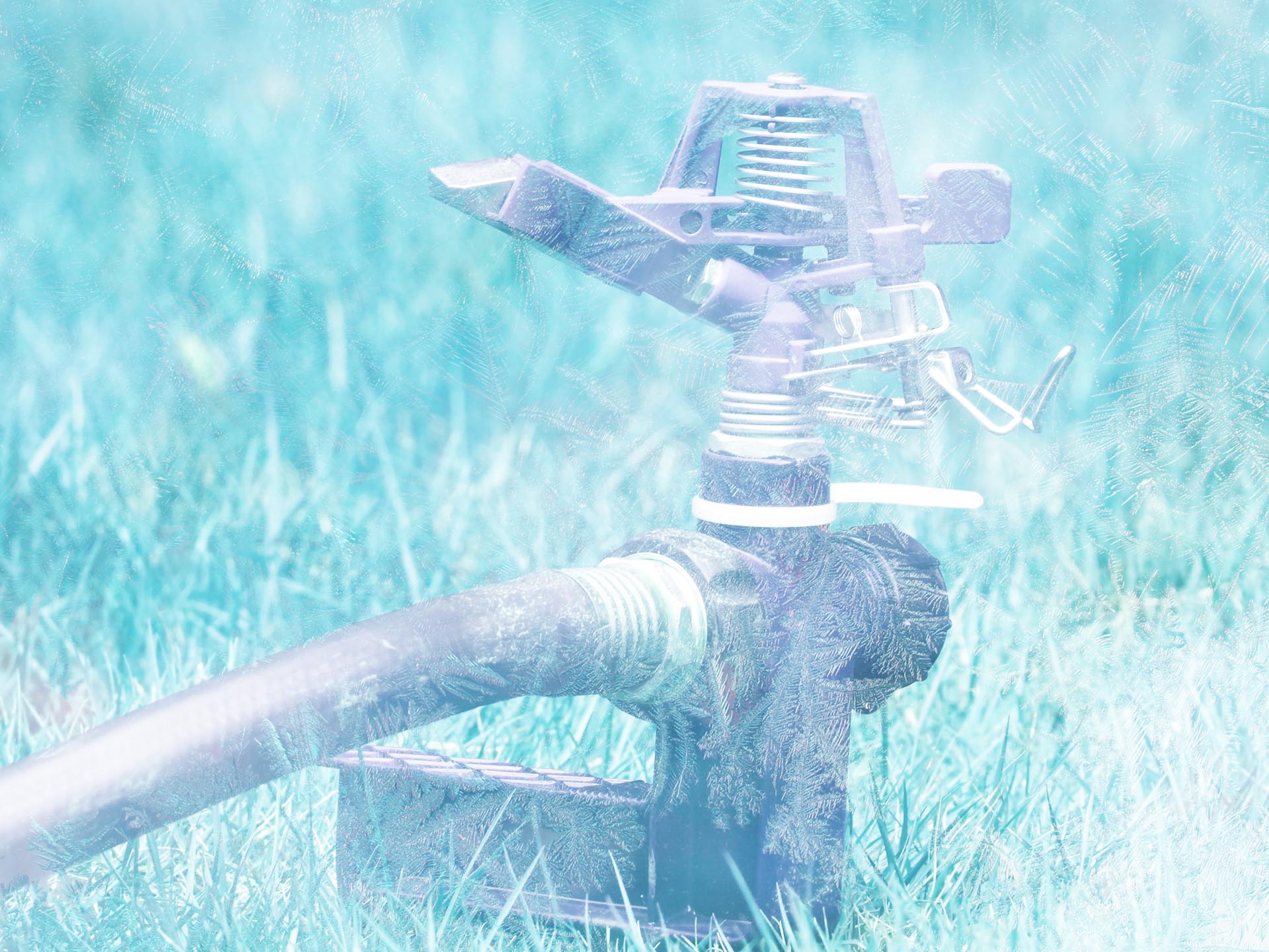 How to Winterize a Sprinkler System - SoCal Plumbers